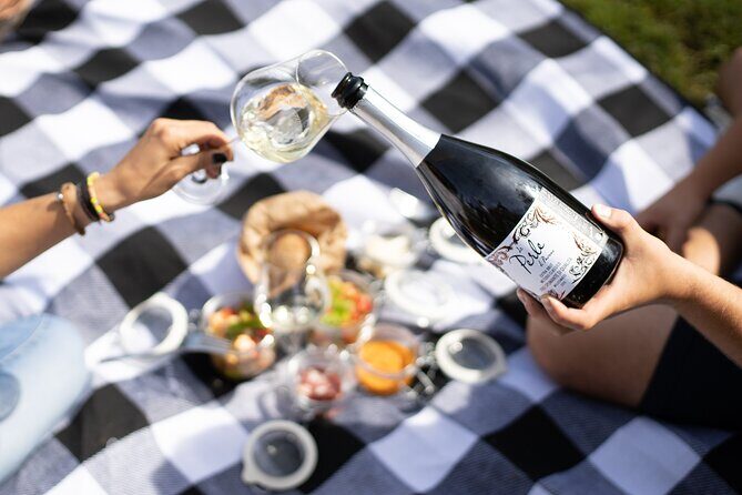 Winery Tour & picnic in the vineyard with a bottle of wine - Who Will Love This Tour?