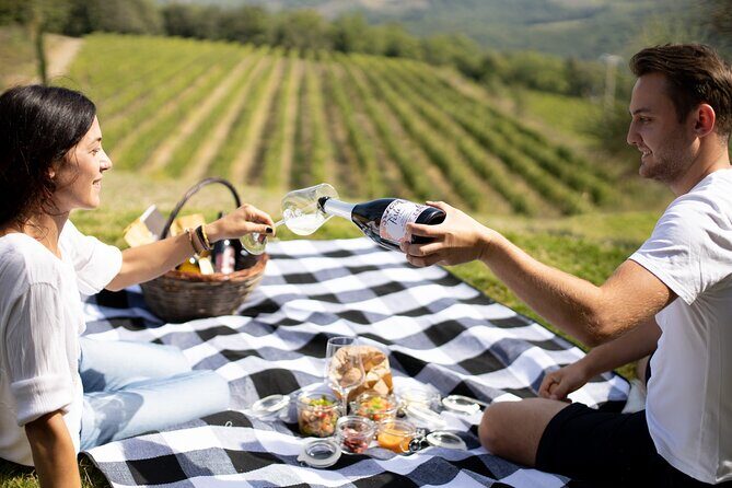 Winery Tour & picnic in the vineyard with a bottle of wine - Final Thoughts