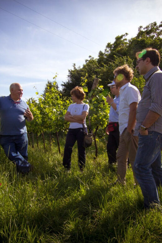 Winery Tour & Tasting on Padua Hills - A Closer Look at the Experience