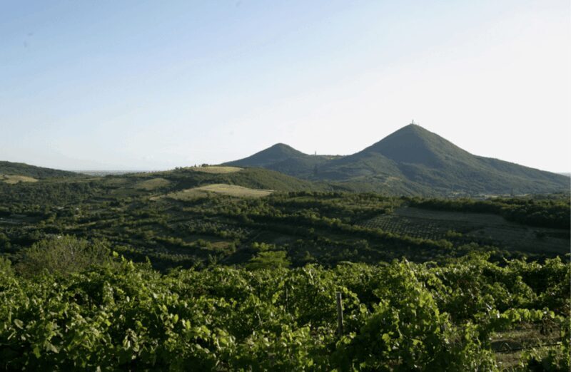Winery Tour & Tasting on Padua Hills - FAQs