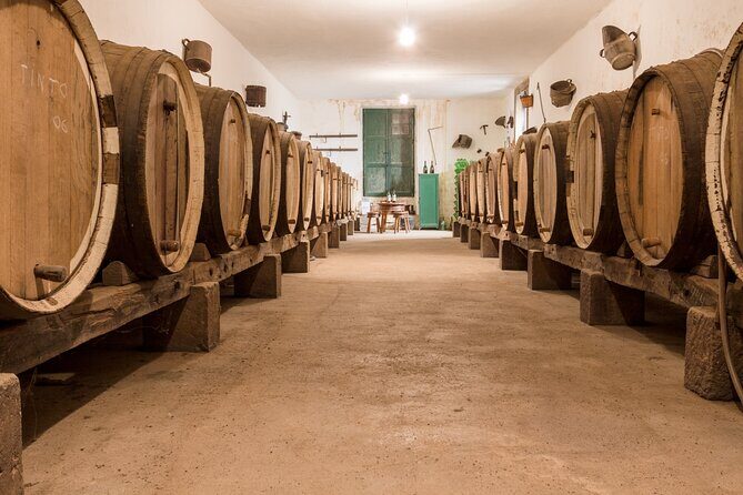 Winery Tour, Wine Museum, and Tasting in Gran Canaria - A Closer Look at the Winery Tour Experience