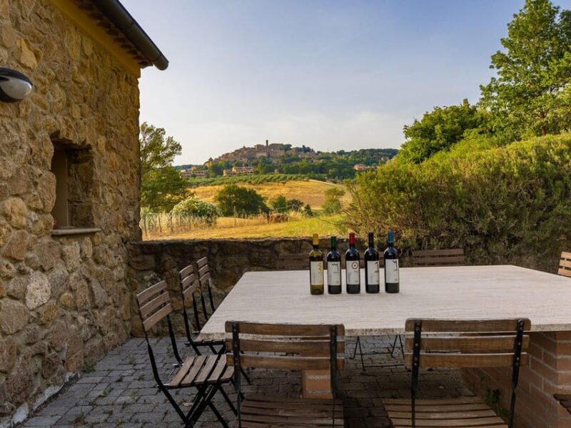 Winery Tour & Wine Tasting with Food near Livorno & Pisa - Key Points