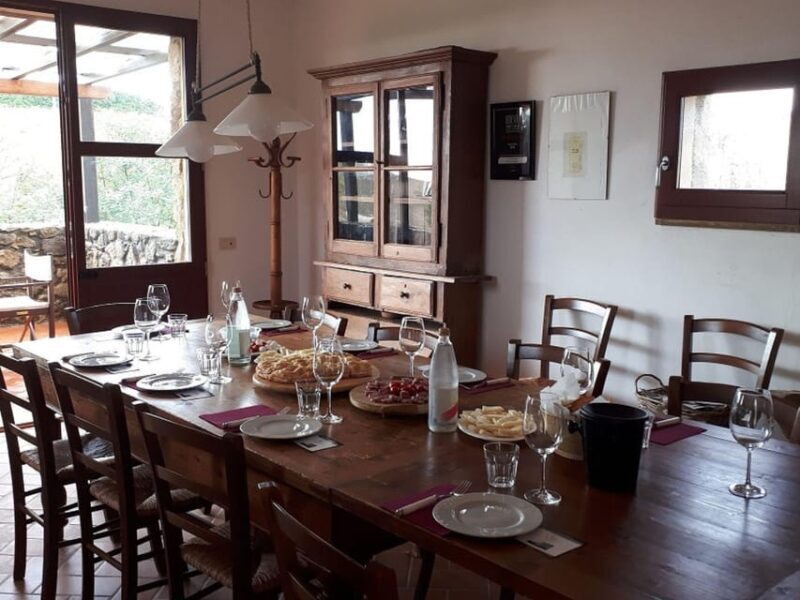 Winery Tour & Wine Tasting with Food near Livorno & Pisa - A Deep Dive into the Winery Experience