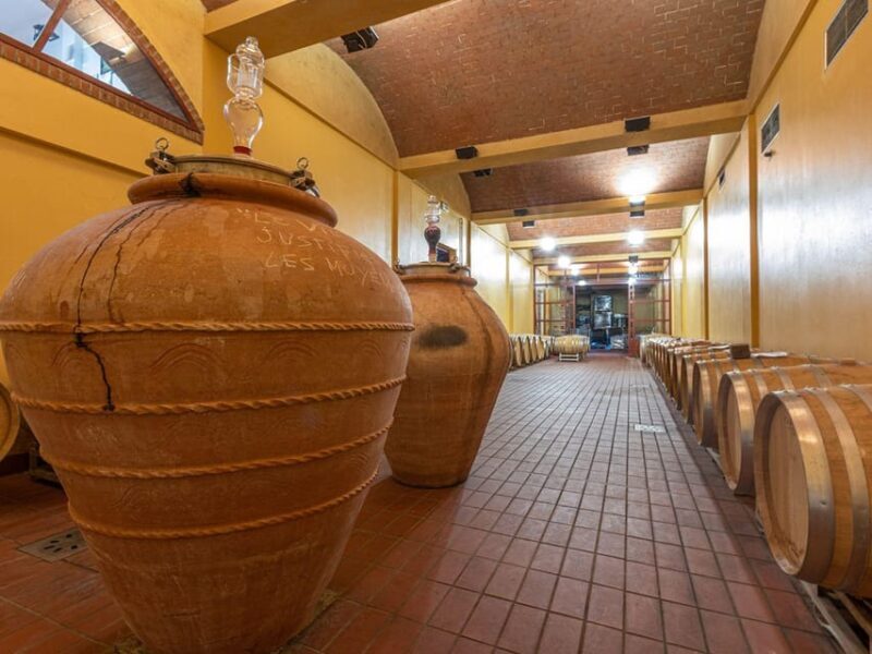 Winery Tour & Wine Tasting with Food near Livorno & Pisa - Practical Details That Matter