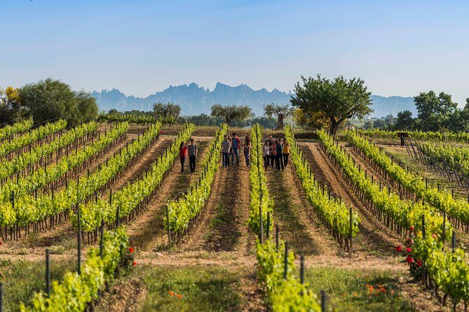 Winery Tour with Private Luxury Vehicle from Barcelona with Hotel pick up - Exploring the Best of Catalan Wine: A Detailed Review of the Private Winery Tour from Barcelona
