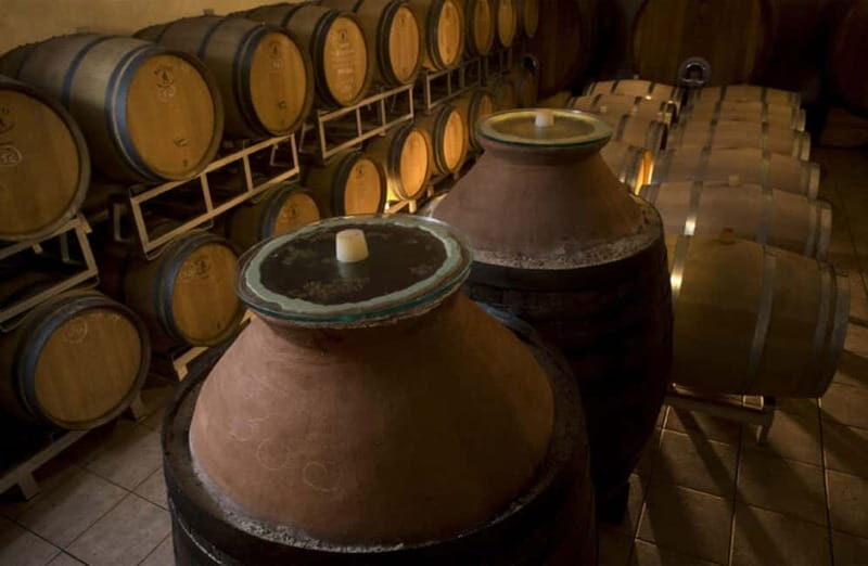 Winery Tour with Wine & Food Tasting near Riccione & Rimini - Key Points