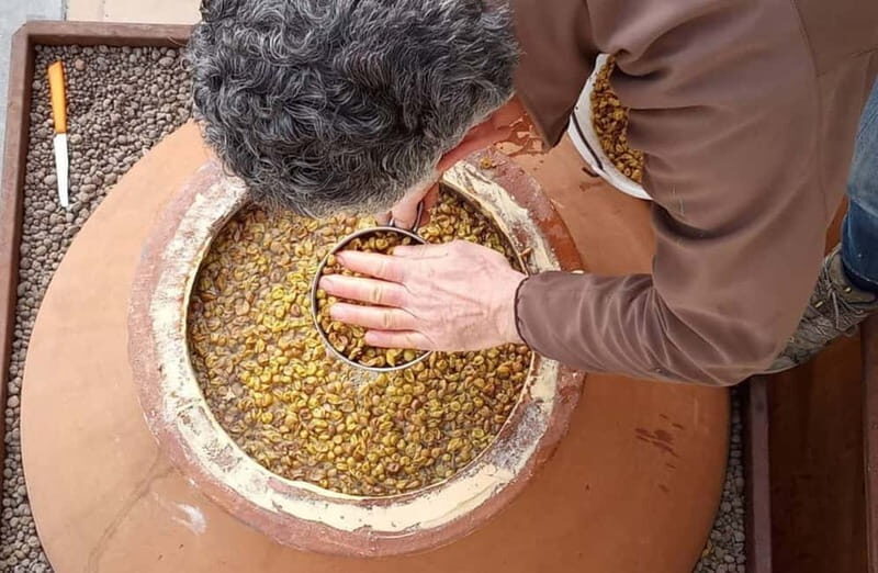 Winery Tour with Wine & Food Tasting near Riccione & Rimini - Practical Details: What You Need to Know