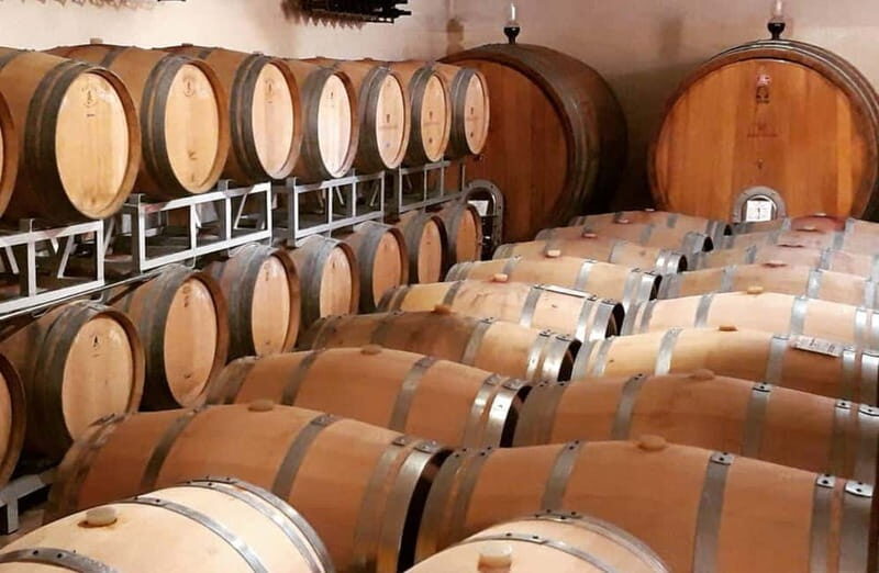 Winery Tour with Wine & Food Tasting near Riccione & Rimini - FAQs