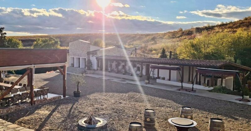 Winery touring & private wine tasting - one day private tour - The Basics: Duration, Price, and Logistics