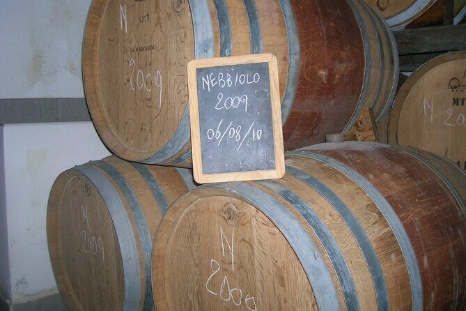 Winery Visit and Tasting of 2 D.O.C.Wines Fontechiara - Key Points
