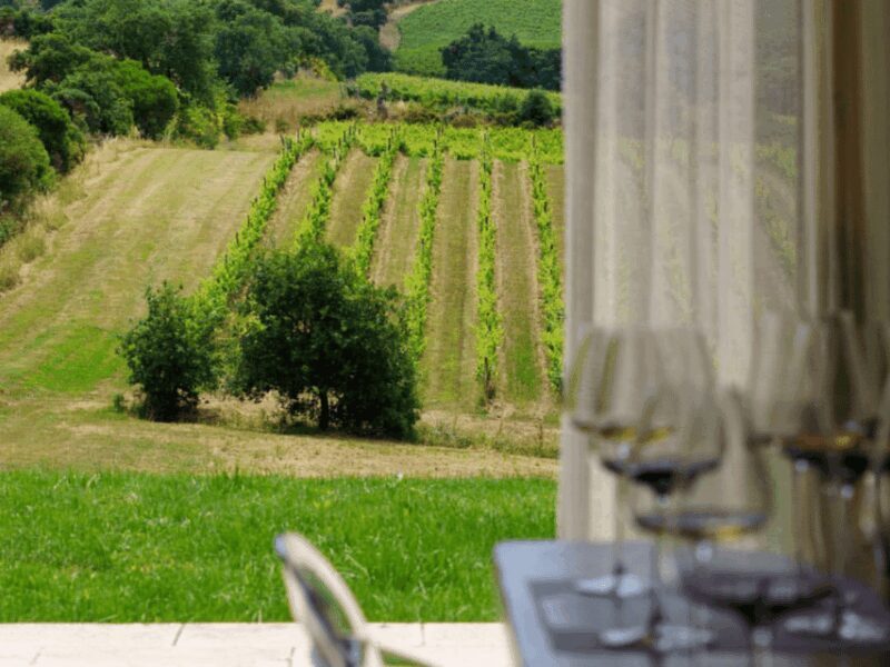 Winery Visit & Tasting near Grosseto with 6 wines - Who This Tour Suits Best