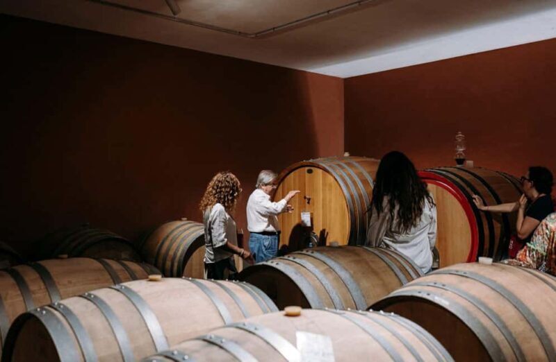 Winery Visit & Tasting on the Volcanic Slopes near Catania - Authentic Wine and Volcano Experience on Mount Etnas Slopes