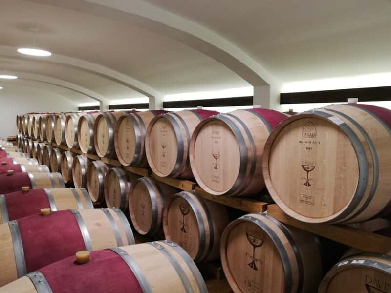 Winery visit & Wine Tasting: half-day tour - The Journey from Bucharest: Comfort and Convenience
