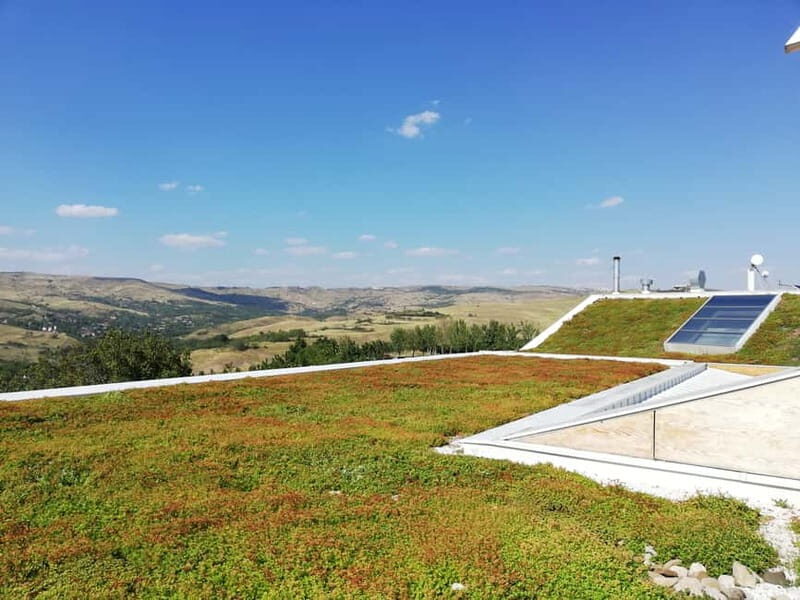 Winery visit & Wine Tasting: half-day tour - The Tasting Experience: Five Romanian Wines