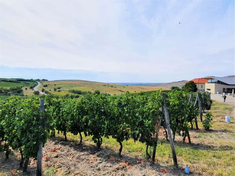Winery visit & Wine Tasting: half-day tour - Who Should Book This Tour?