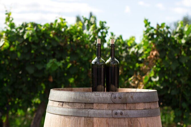 Wines and Views Private Wine Tour of Otago from Queenstown - Authentic Reviews & Guest Impressions