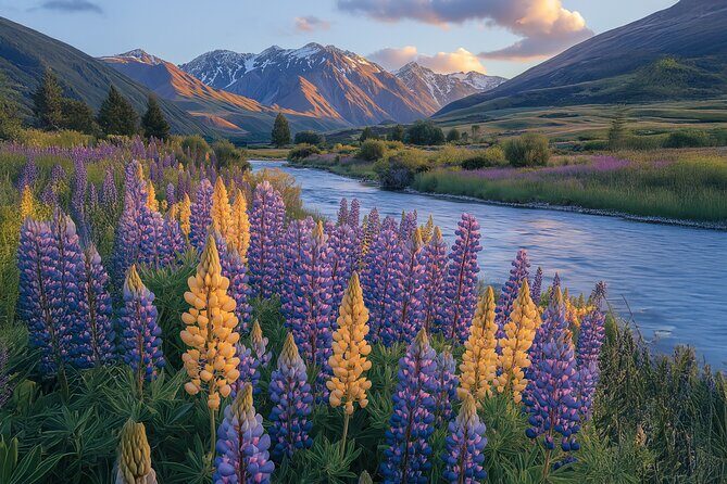 Wines and Views Private Wine Tour of Otago from Queenstown - FAQs