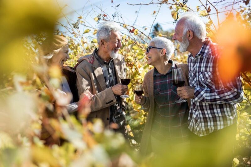 Wines and Whispers: A Barossa Valley Wine Tour from Adelaide - Introduction: What This Tour Offers