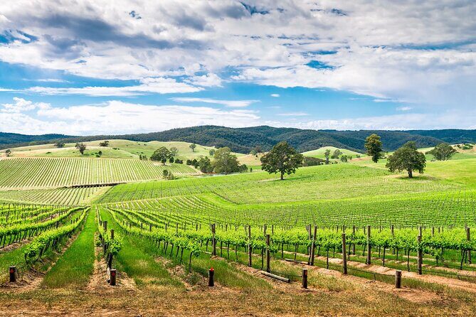 Wines and Whispers:Barossa Valley Private Wine Tour from Adelaide - What Sets This Tour Apart?