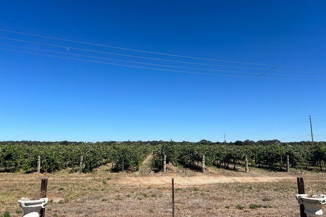 Wines and Whispers:Barossa Valley Private Wine Tour from Adelaide - FAQ