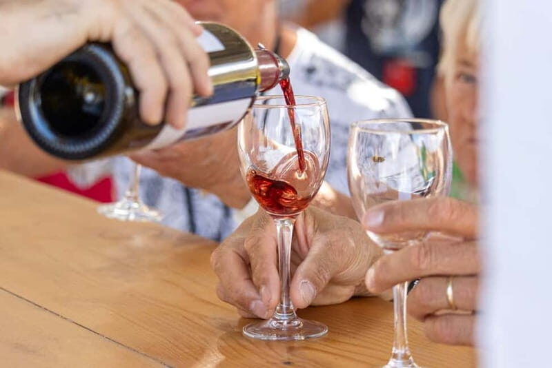 Wines of Rhodes: Traditional Wine Tasting in the vineyards - Why You Should Consider This Tour