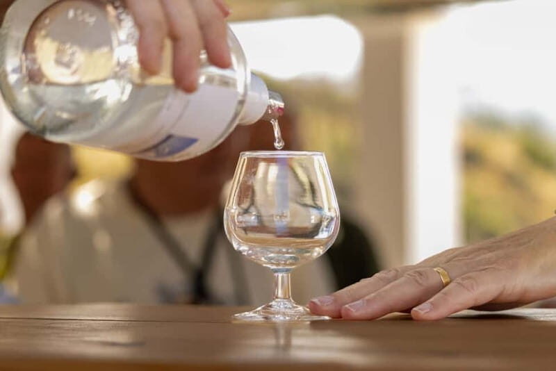 Wines of Rhodes: Traditional Wine Tasting in the vineyards - The Sum Up