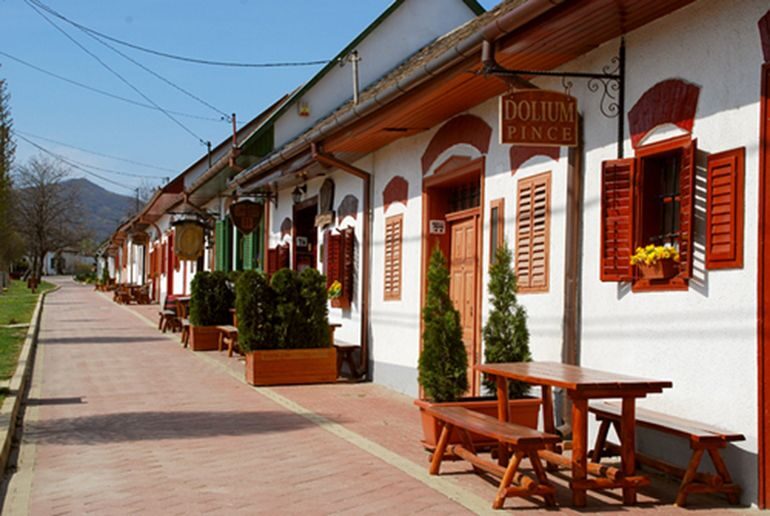 Winetaste in Villany, sightseeing in Pécs, private tour - The Journey Begins: Convenient Pickup from Budapest