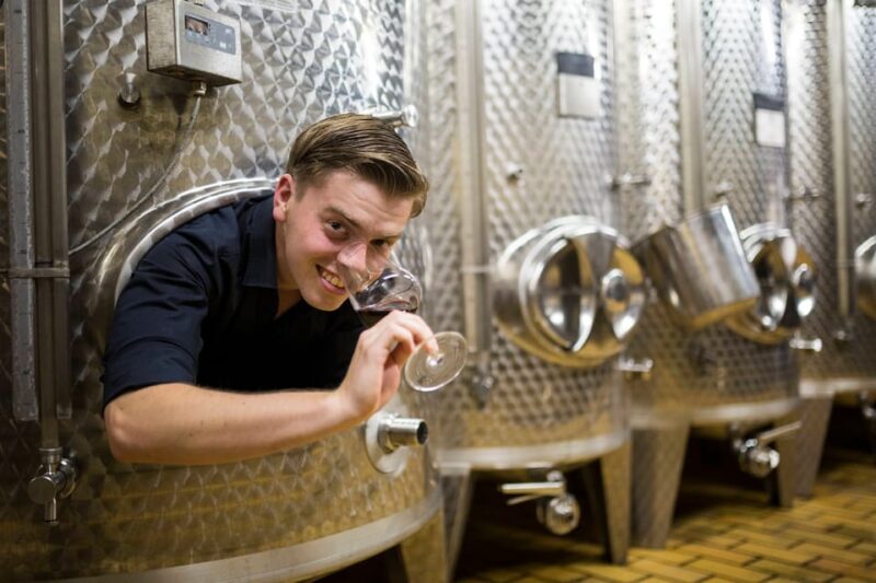 Winetasting with tour through the winery - From Reviews to Real Insights