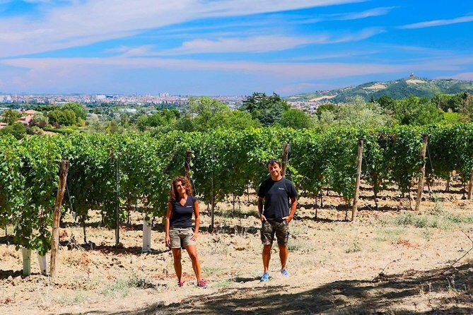 Winetour and tasting on Bologna hills, guided by the wine grower - Key Points