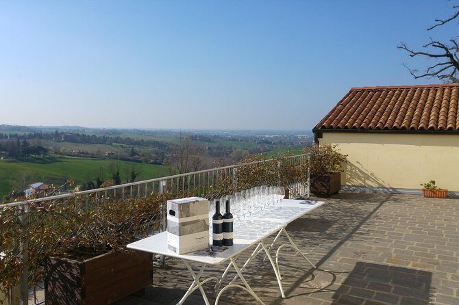 Winetour and tasting on Bologna hills, guided by the wine grower - Why This Tour Is Worth Considering