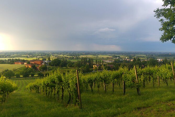 Winetour and tasting on Bologna hills, guided by the wine grower - Final Thoughts