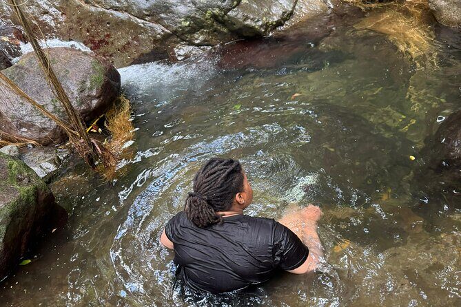 Wingfield Rain Forest Nature Trail Adventure - FAQs