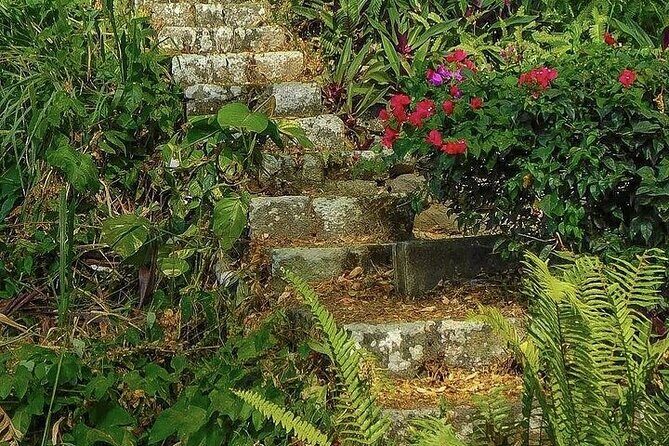 Wingfield Rainforest Adventure Hike and Caribelle Batik stop - The Full Itinerary and Practical Details