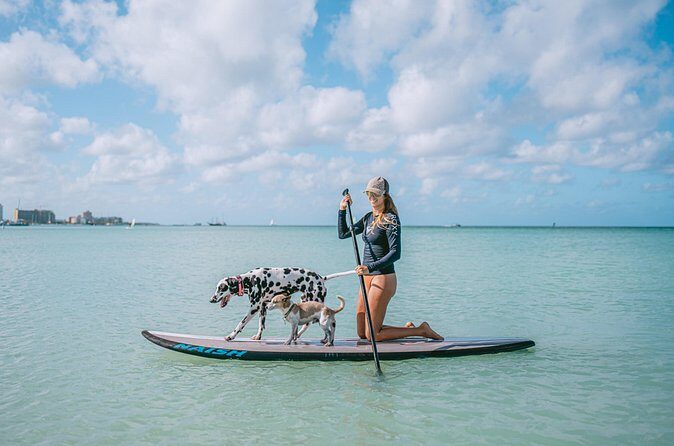Wingfoiling Lessons in Aruba with IWO Certification - How This Tour Stacks Up