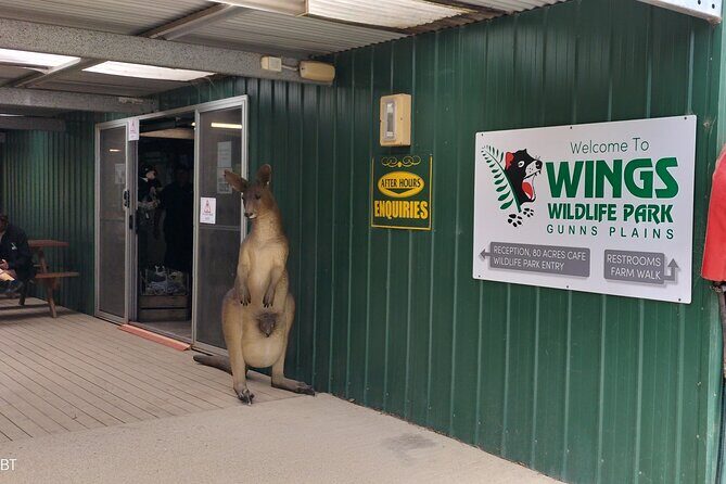 Wings Wildlife Park and Scenic Tour - Authentic Experiences and Insights from Travelers