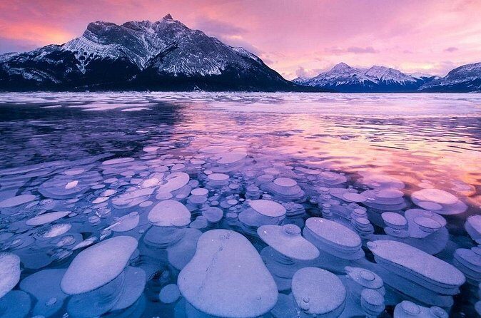 Winter Abraham Bubble Lake and Icefield Parkway - Authentic Experiences and Reviews