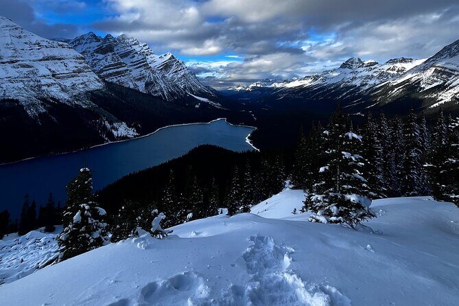 Winter Abraham Bubble Lake and Icefield Parkway - Who Is This Tour Best For?