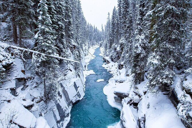 Winter Abraham Bubble Lake and Icefield Parkway - FAQ