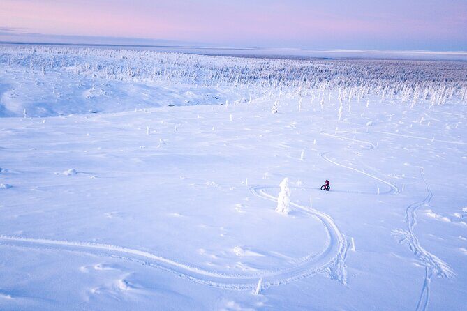 Winter afternoon group Ride in Saariselkä - Key Points