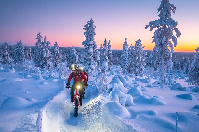 Winter afternoon group Ride in Saariselkä - Value and Practicality