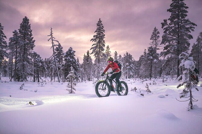 Winter afternoon group Ride in Saariselkä - Who Should Consider This Tour?