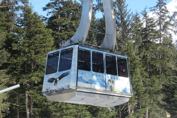 Winter - Alaska Wildlife Center with Alyeska Tram - Value for Money and Additional Costs