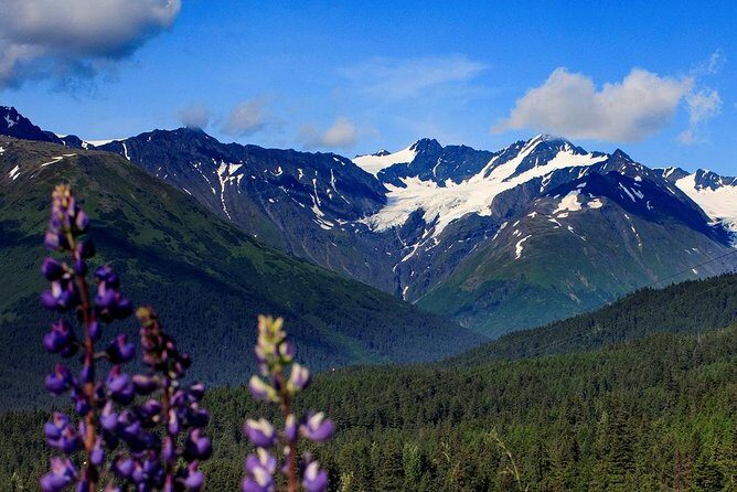 Winter - Alaska Wildlife Center with Alyeska Tram - Authenticity and Traveler Experience