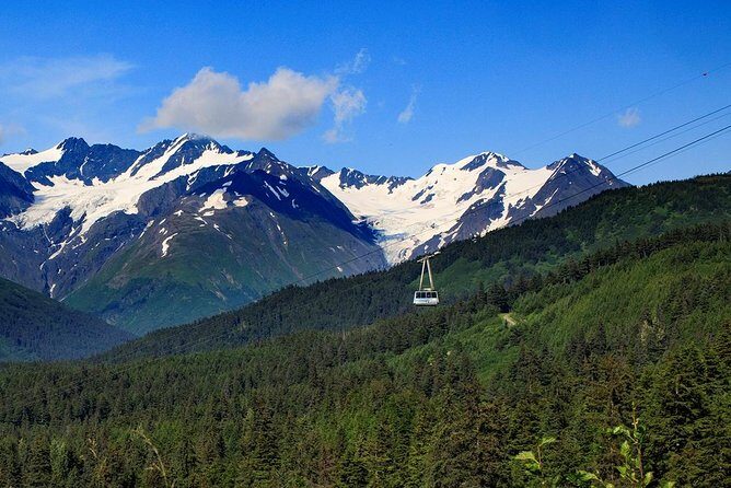Winter - Alaska Wildlife Center with Alyeska Tram - Suitable for Different Travelers