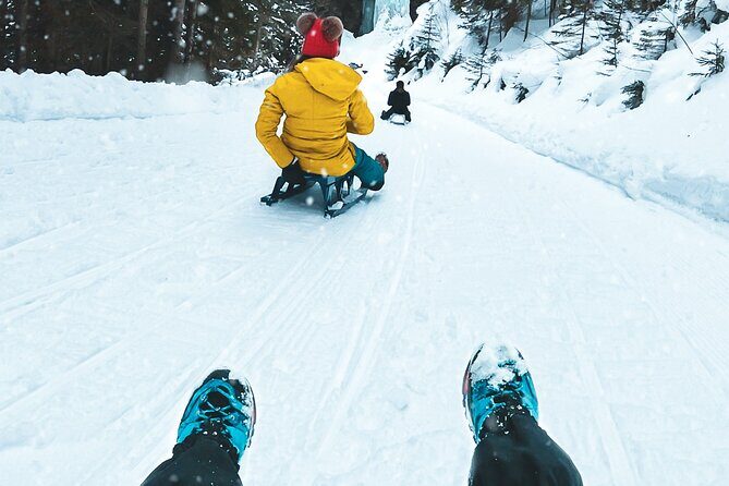 Winter Alpine Adventure - Exploring the Winter Alpine Adventure: A Practical Review of a Swiss Mountain Experience