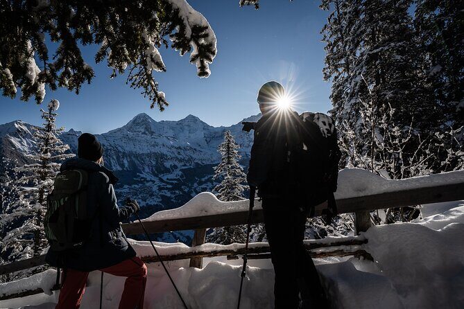 Winter Alpine Adventure - Key Points