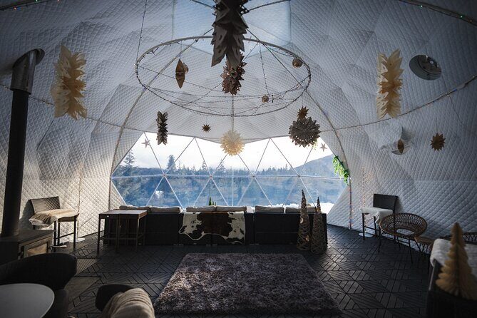 Winter Après Dome and Sleigh Ride in Whistler - A Closer Look at the Experience