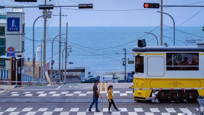 [Winter] Biseulsan Ice Festival & Must-visit Places in Busan - The Sum Up