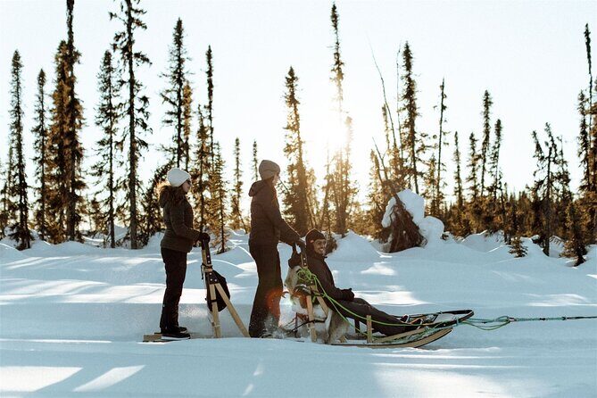 Winter Dog Sled Tour: Day or Night. - Meeting the Kennel and the Dogs