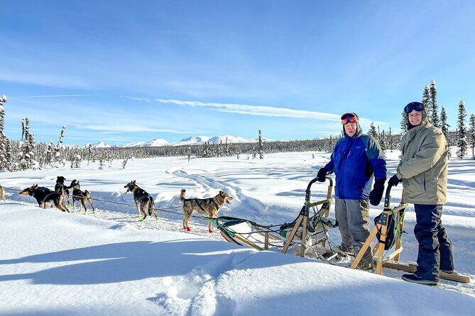 Winter Dog Sled Tour: Day or Night. - Meeting and Petting the Dogs Post-Ride